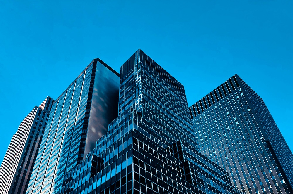Understanding Modern Companies: Functions, Types, Growth & Future Trends